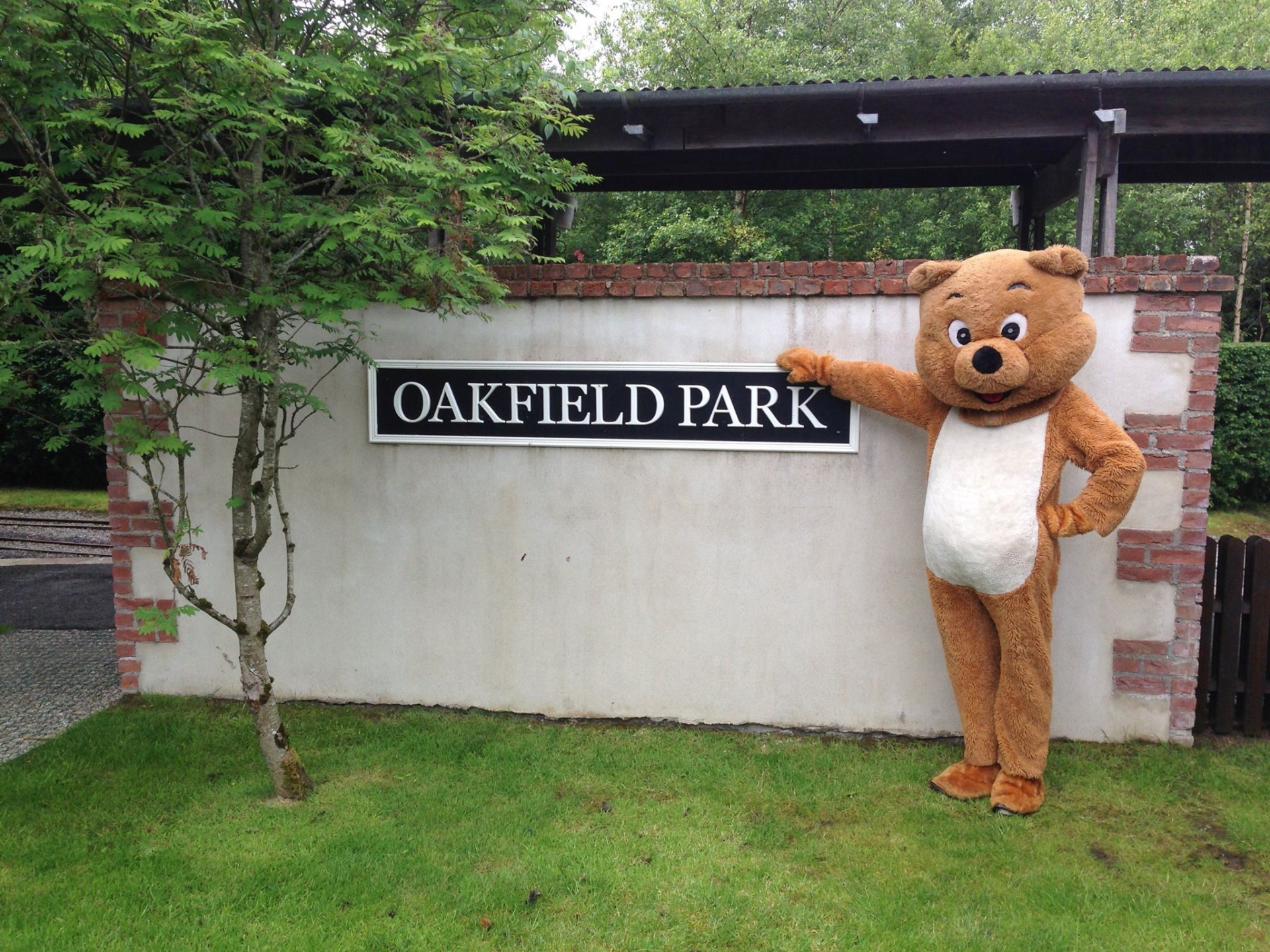 Teddy Bears’ Picnic returns to Oakfield Park, Raphoe | We Are Tyrone