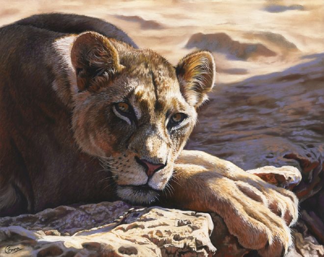 Dungannon artist teaches the world to draw and paint | We Are Tyrone