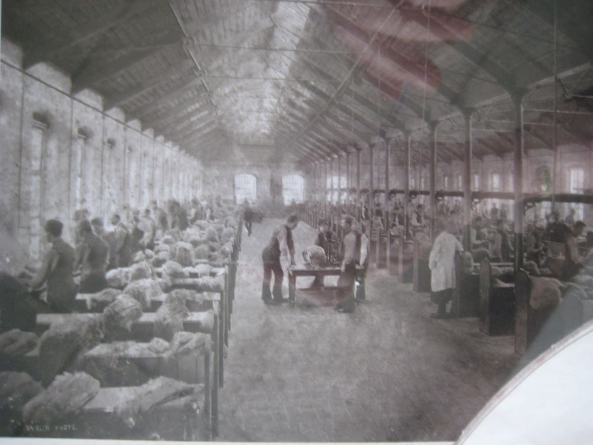 Herdman heritage: A family’s enduring influence | We Are Tyrone